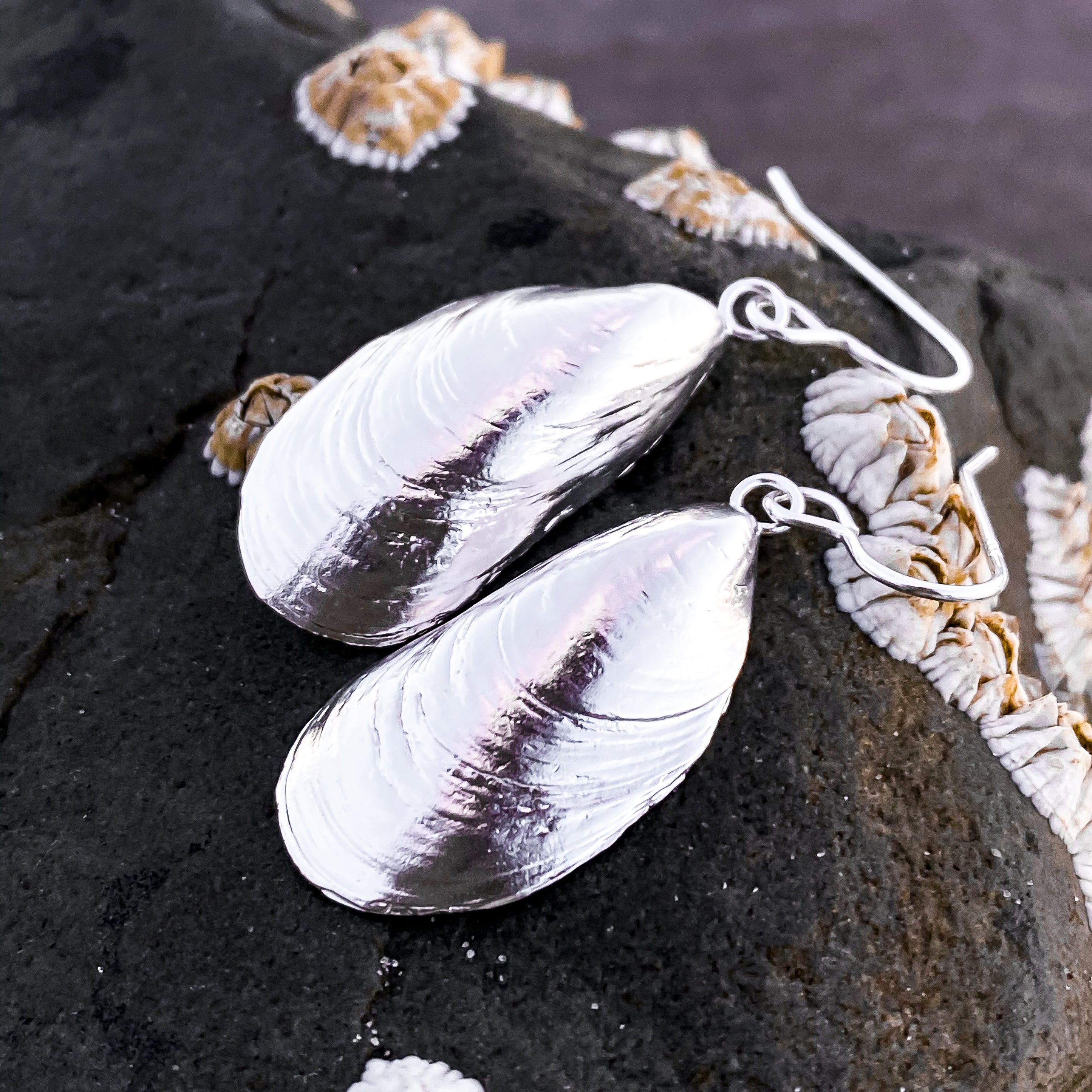 Sterling Silver Mussel Shell Earrings – Element Isle